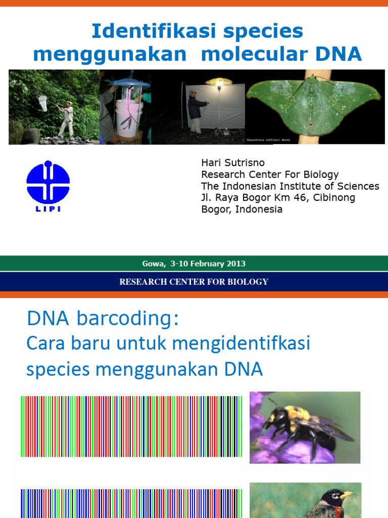 Species Identification Using DNA Molecular | PDF | Primer (Molecular ...