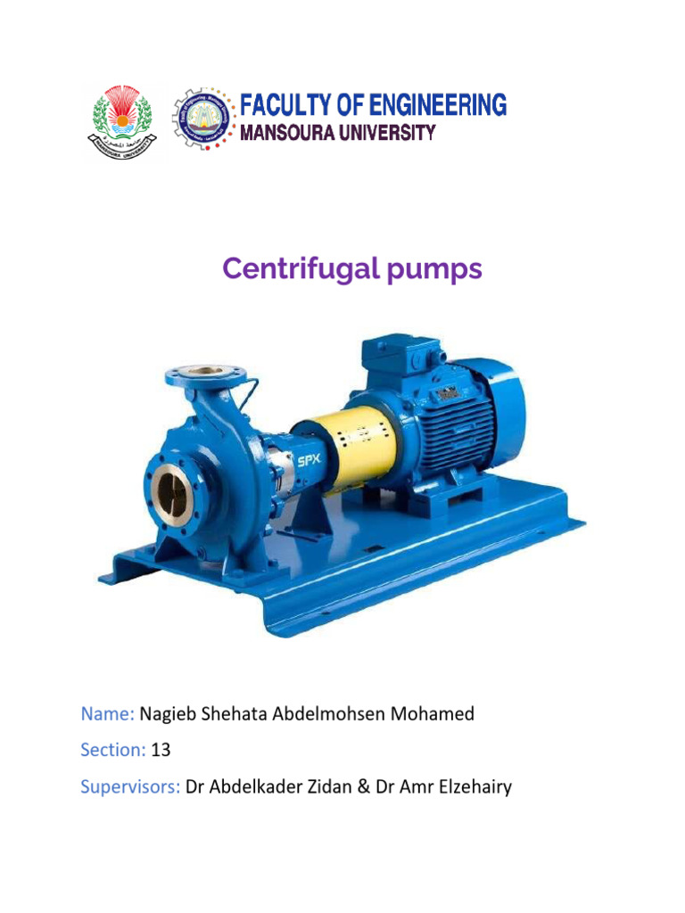 Centrifugal Pumps Report | PDF