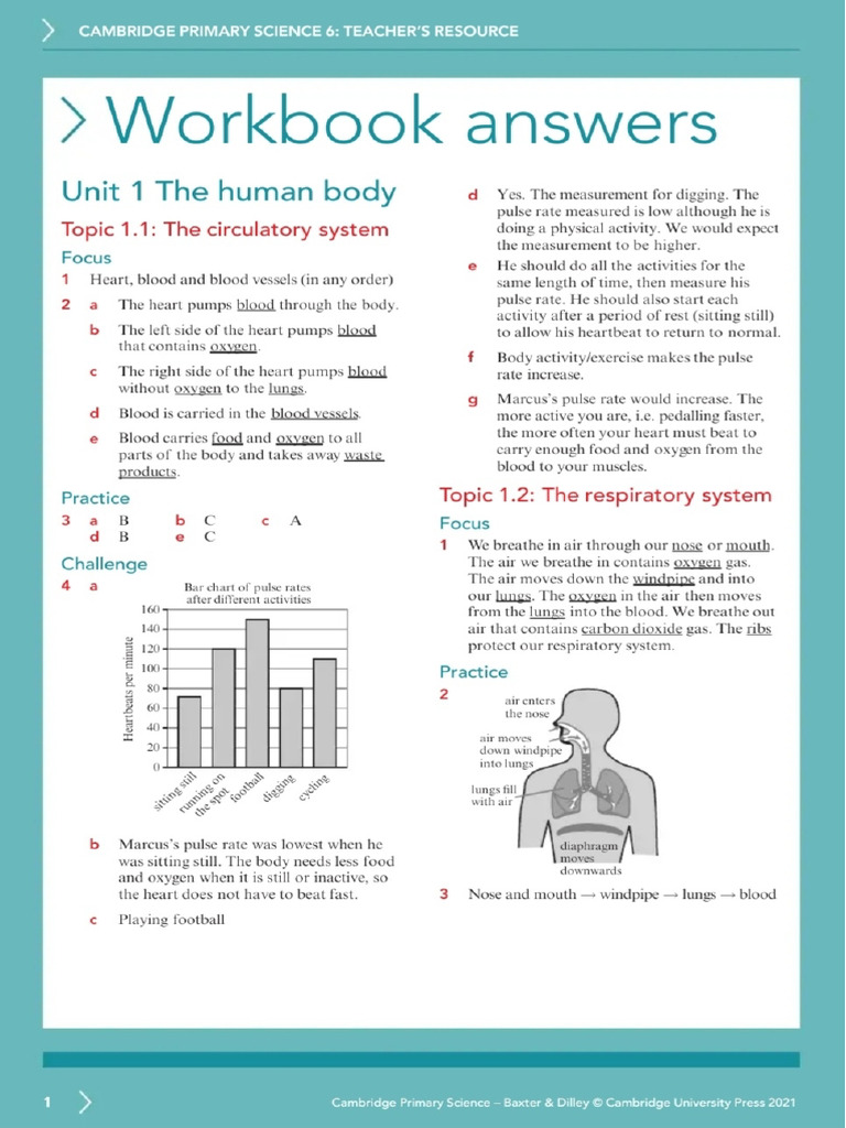 Cambridge Primary Science W.B 6 Second Edition Answer | PDF
