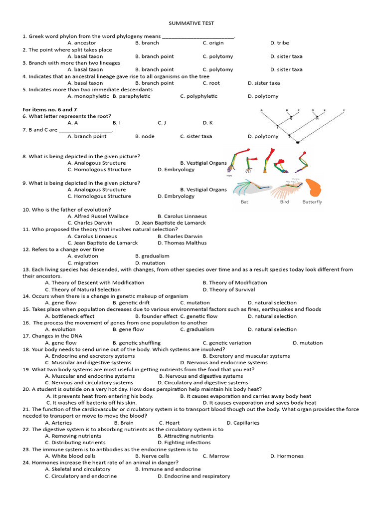 SUMMATIVE TEST Grade 11 Q2 | PDF | Human Body | Reproduction