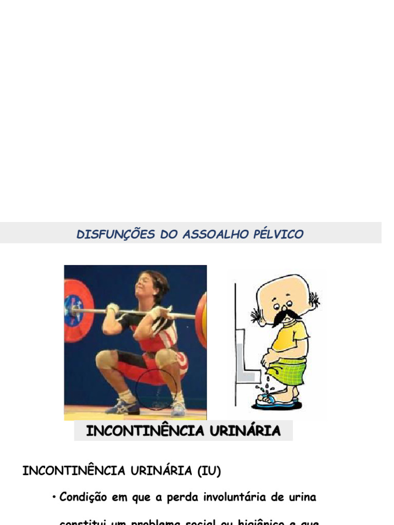 Roteiro Aula Iu Dar | PDF | Micção | Urologia