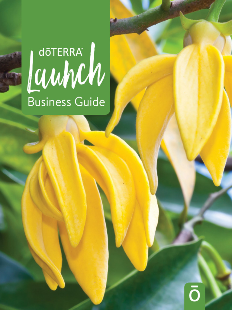 Launch Guide | PDF