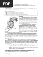Effects of Caffeine and Alcohol on Daphnia | PDF | Heart Rate | Caffeine
