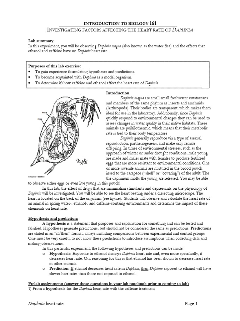 Biology Lab: Daphnia Heart Rate Study | PDF | Hypothesis | Pub Med