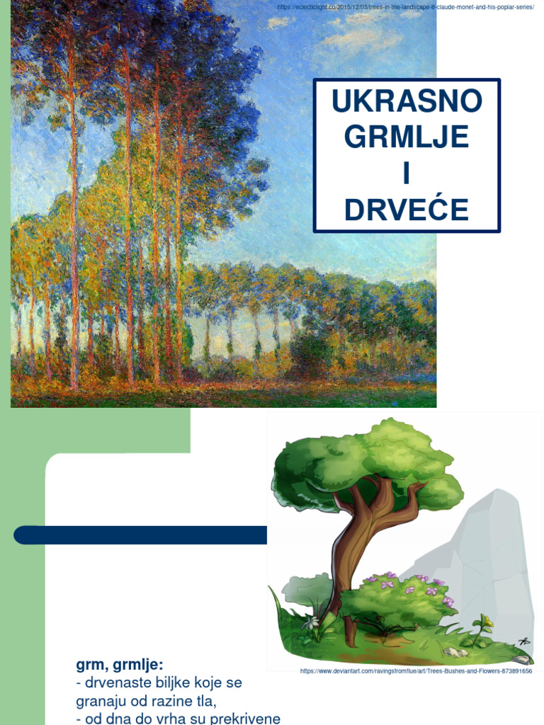 P 6b Drvece Grmlje ST | PDF