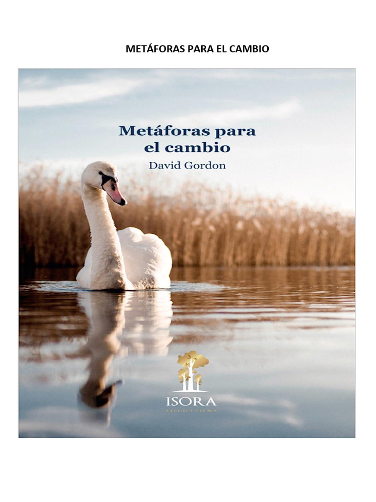 Metáforas para El Cambio | PDF | Experiencia | Metáfora
