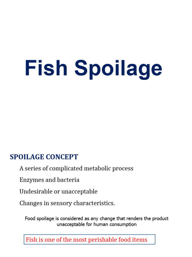 Fish Spoilage | PDF | Decomposition | Bacteria