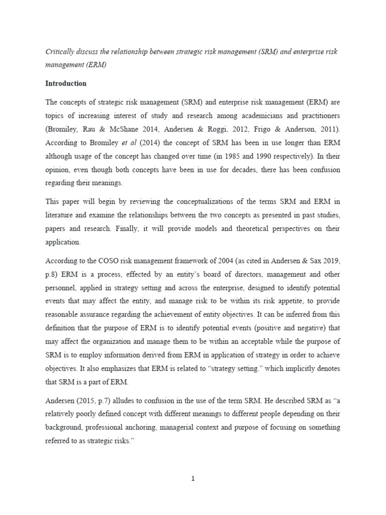 SRM and ERM Paper | Download Free PDF | Risk | Risk Management
