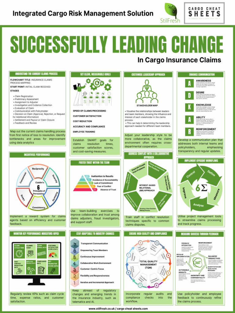 Successfully Leading Change | PDF
