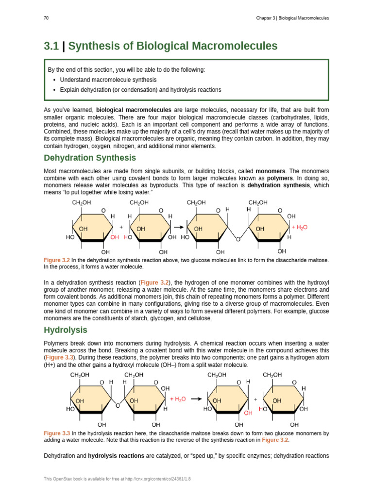 Understanding Biological Macromolecules | PDF | Omega 3 Fatty Acid | Lipid