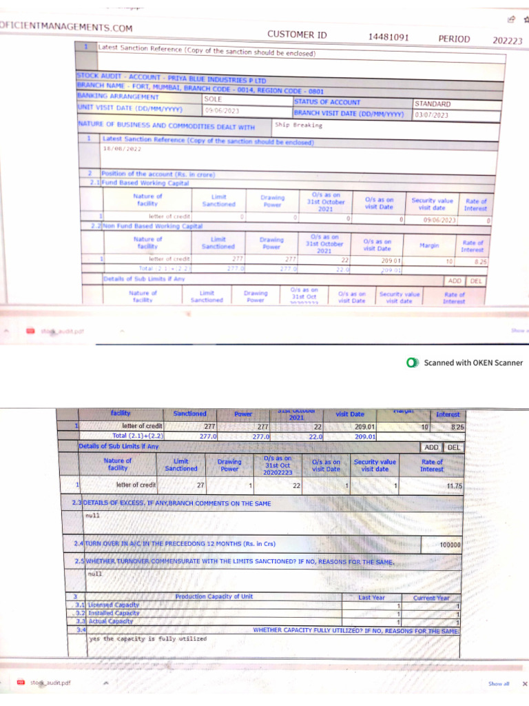 Stock Audit Draft Report | PDF