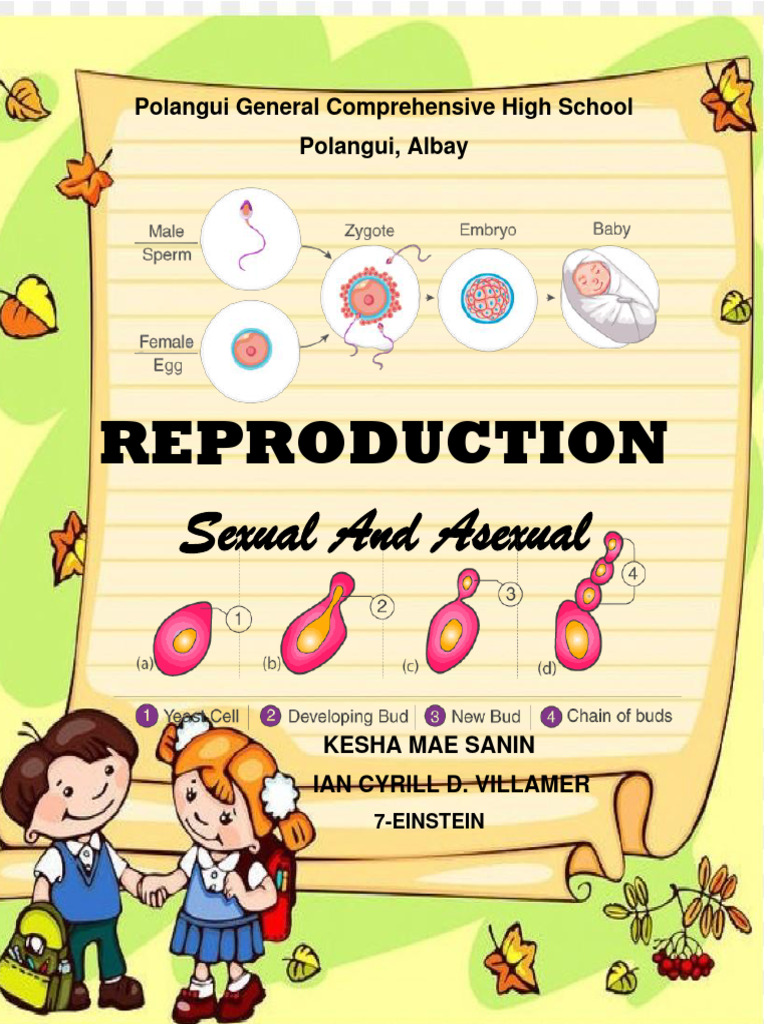 Reproduction | PDF | Sexual Reproduction | Reproduction