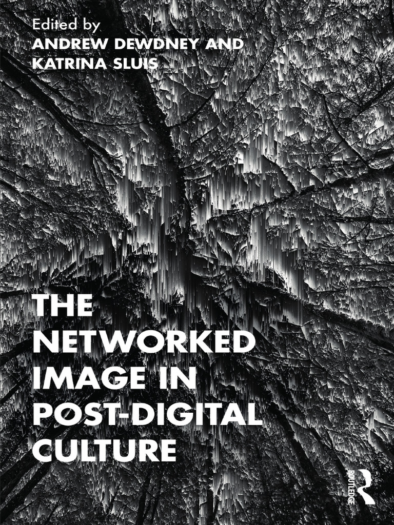 The Networked Image in Post-Digital Culture (Andrew Dewdney, Katrina Sluis) (Z-Library) | PDF ...