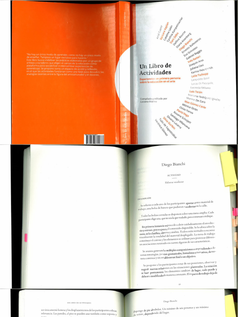Marino, L Comp. (2019) Un Libro de Actividades. Experiencias en Primera Persona Sobre La ...