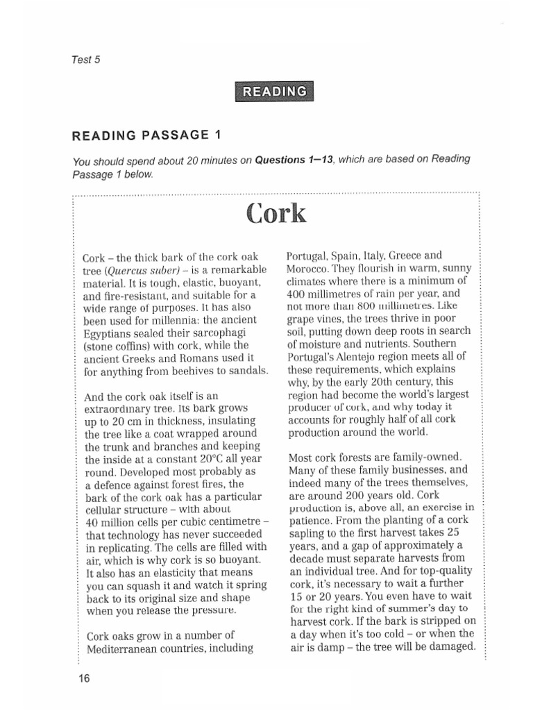 PDF Cambridge 12 Reading | PDF