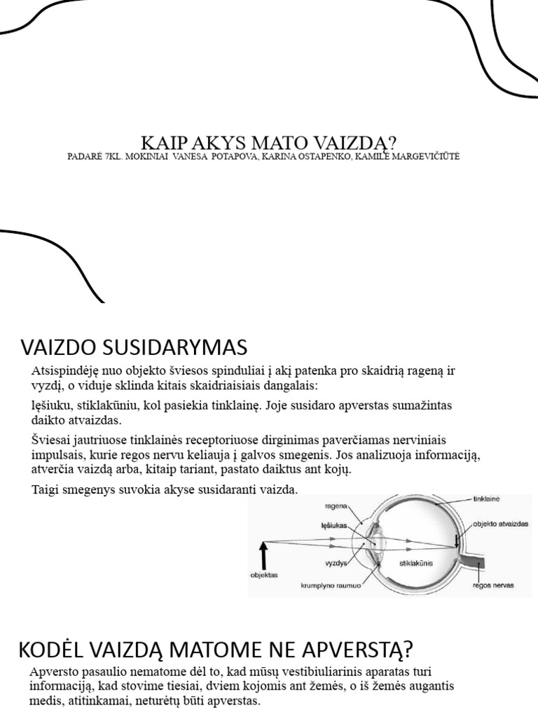 Kaip Akys Mato Vaizdą | PDF