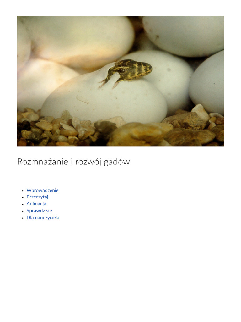 Rozmnazanie_i_rozwoj_gadow | PDF