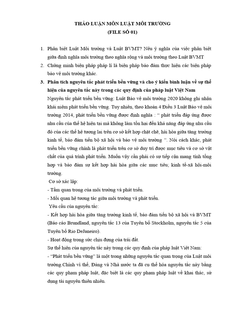 Thao-luan-LMT-FILE-SỐ-01 | PDF