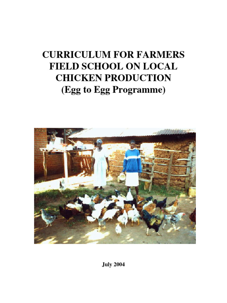 Local Chicken Farming Curriculum Guide | PDF | Chicken | Poultry