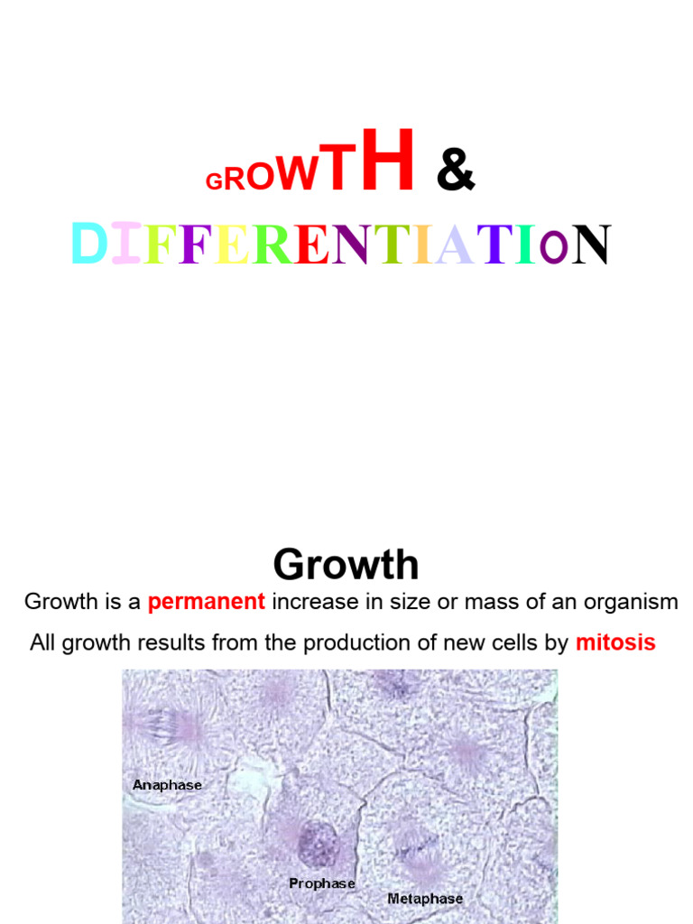 Understanding Growth and Differentiation | PDF