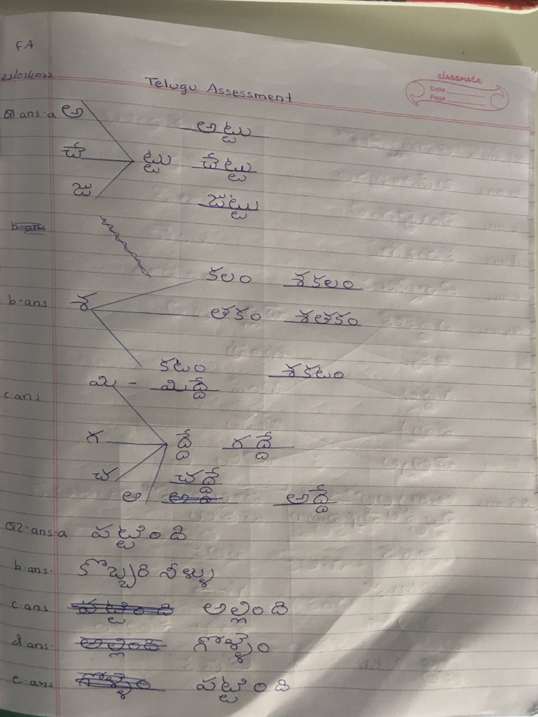 Telugu Assessment | PDF Telugu Assessment | PDF
