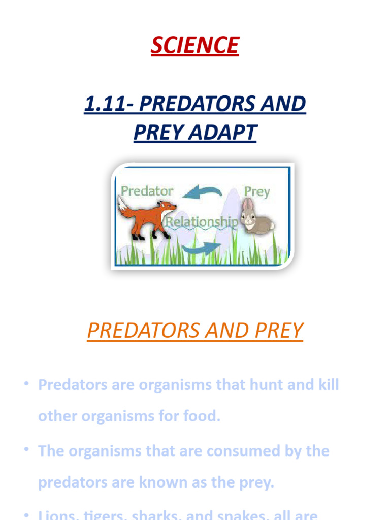 1.11predators & Prey | PDF