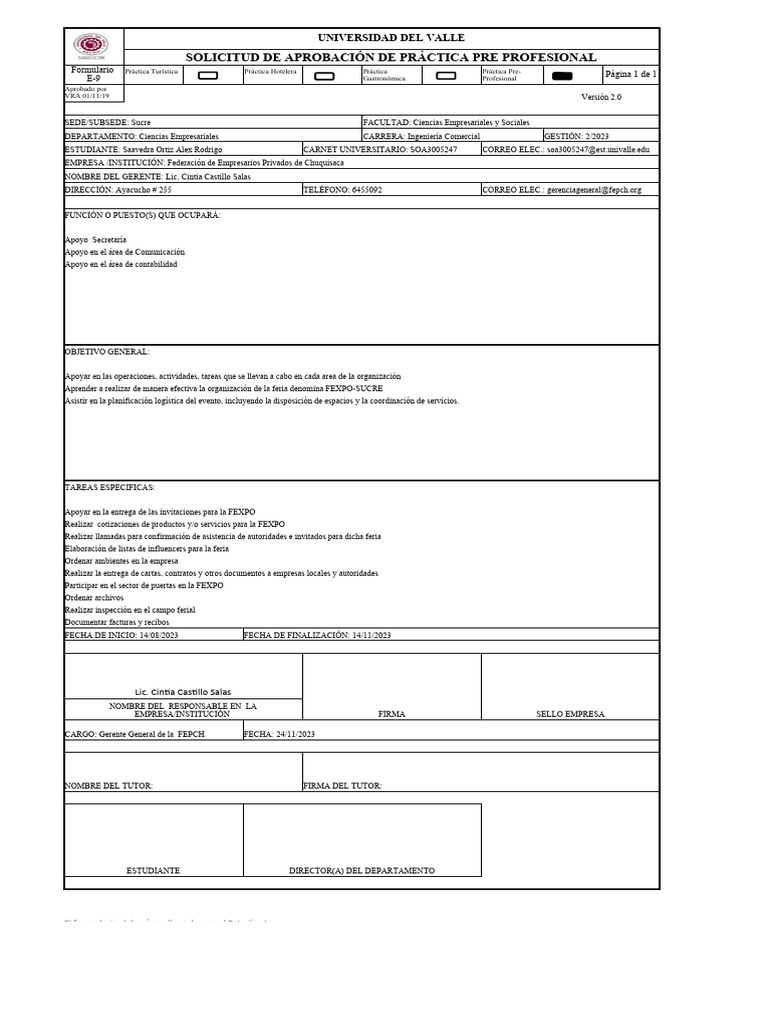 Ico Form - E9 (9.1-9.7) v.2 Pre Profesional | PDF | Mercado (economía ...