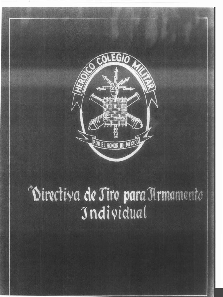 Directiva Tiro Armamento Individual | PDF | Rifle | Revista (armas de ...