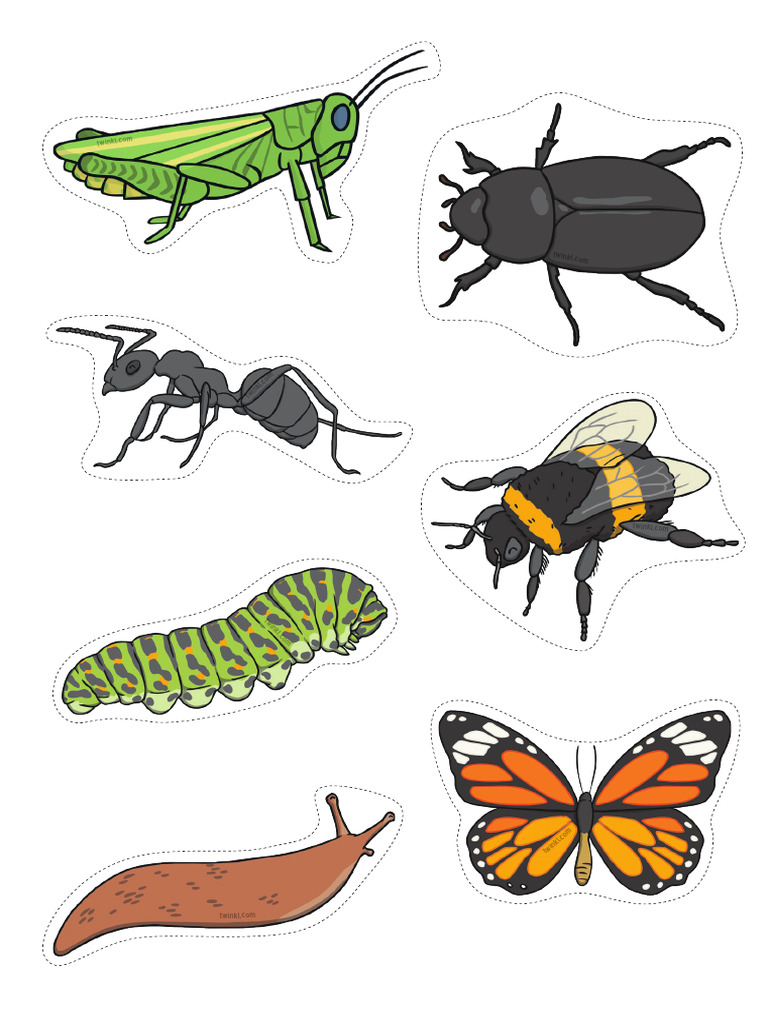 T TP 1188 Minibeasts Small World Characters | PDF