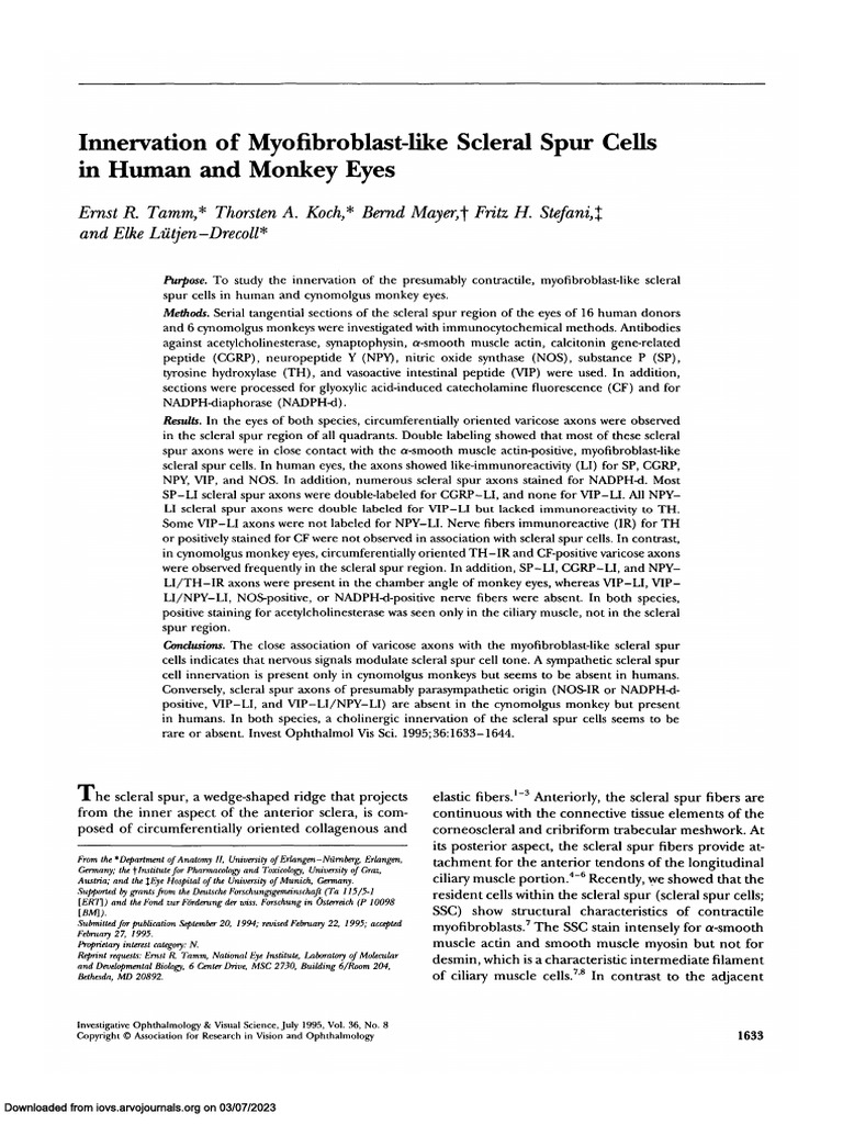 @1995.Tamm.Innervation of myofibroblast-like scleral spur cells in ... @1995.Tamm.Innervation of myofibroblast-like scleral spur cells in ...