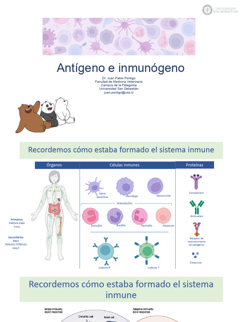 Diferencias entre antígeno e inmunógeno | PDF | Ciencia y matemáticas