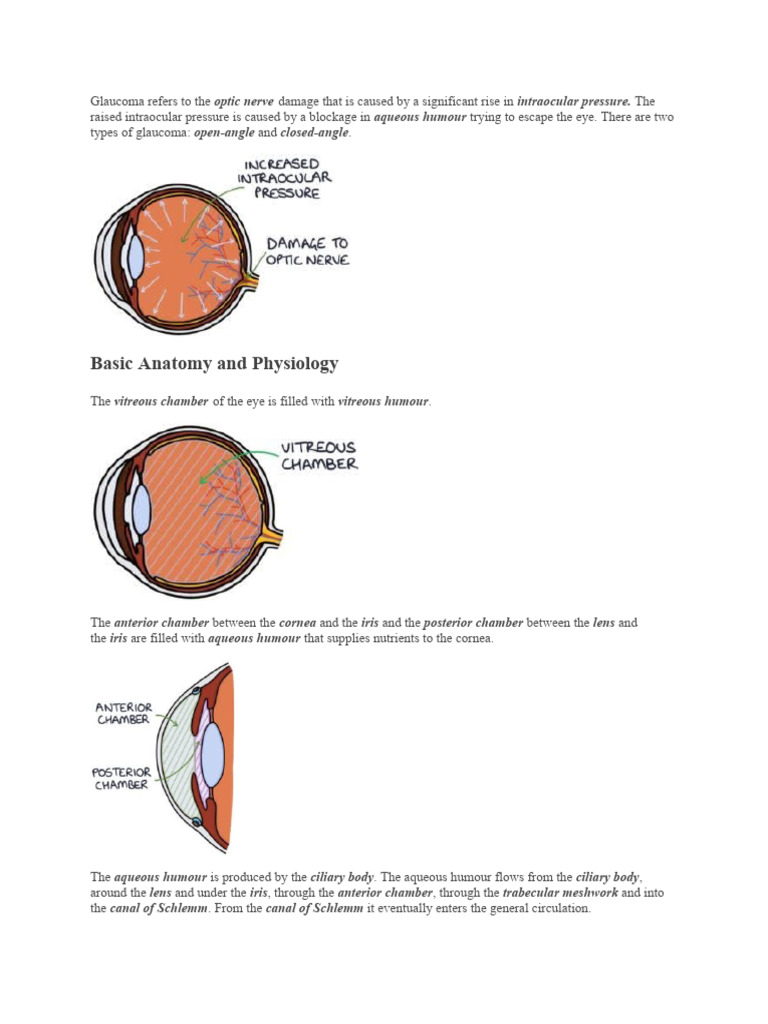 Glaucoma Pdf Glaucoma Vision