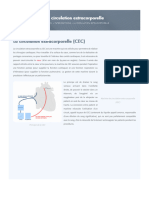 Pharmacologie des curares myorelaxants | PDF | Acétylcholine | Synapse