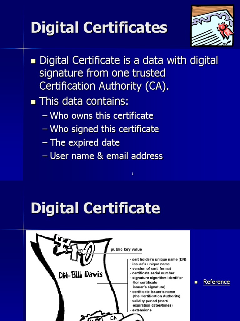 Understanding Digital Certificates and PKI | PDF | Public Key ...