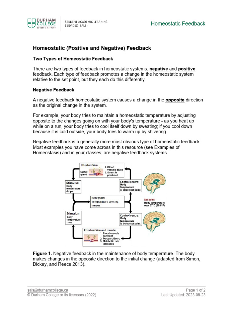 Homeostatic Positive and Negative Feedback | PDF | Homeostasis ...