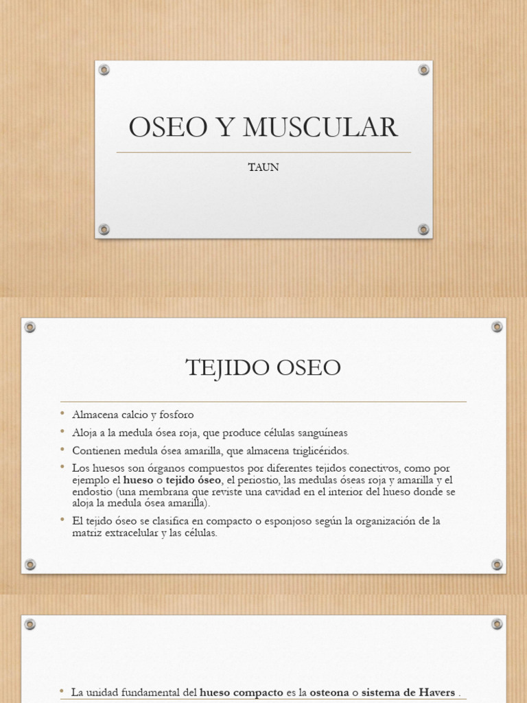 Oseo y Muscular | Descargar gratis PDF | Hueso | Músculo