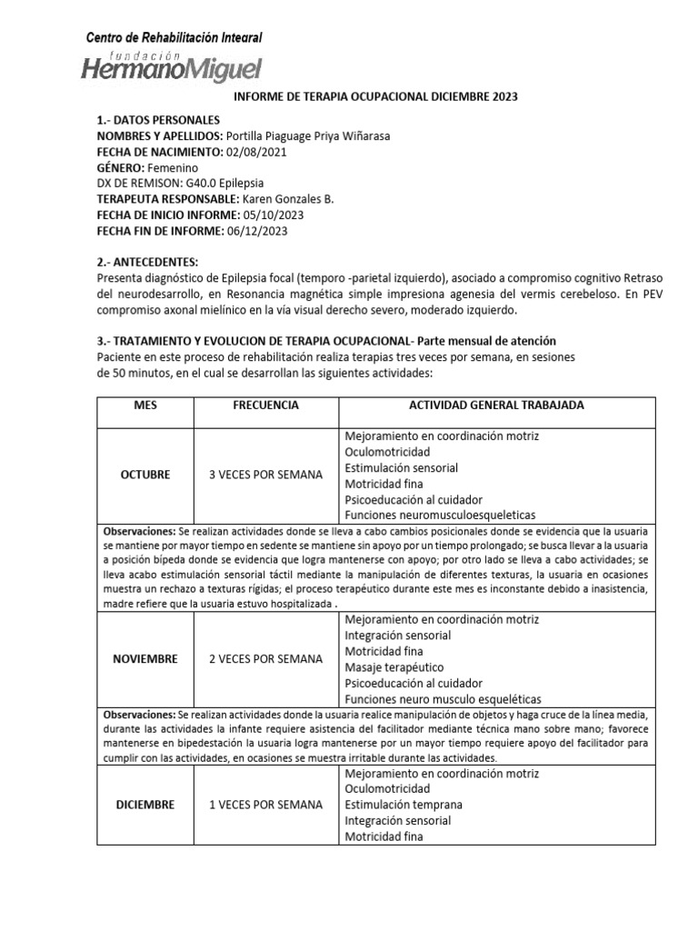 Informe de Terapia Ocupacional. | PDF | Terapia ocupacional | Terapia