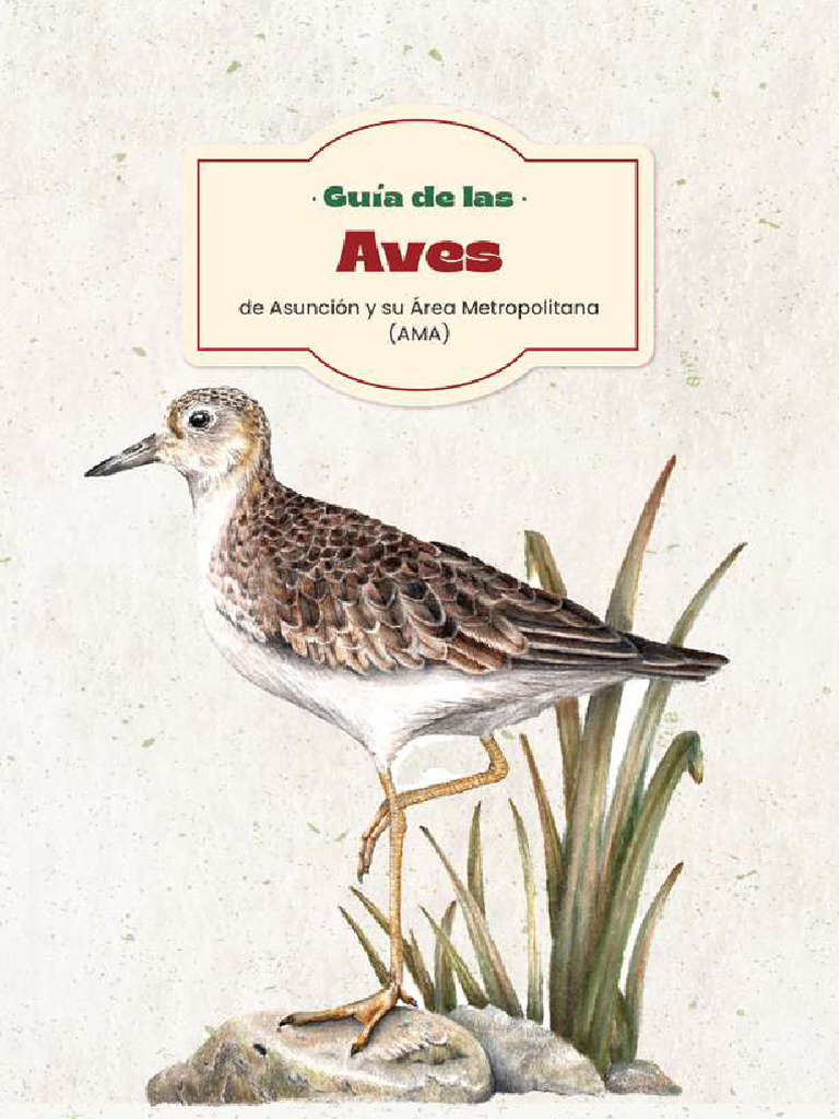 Guía de Aves | PDF