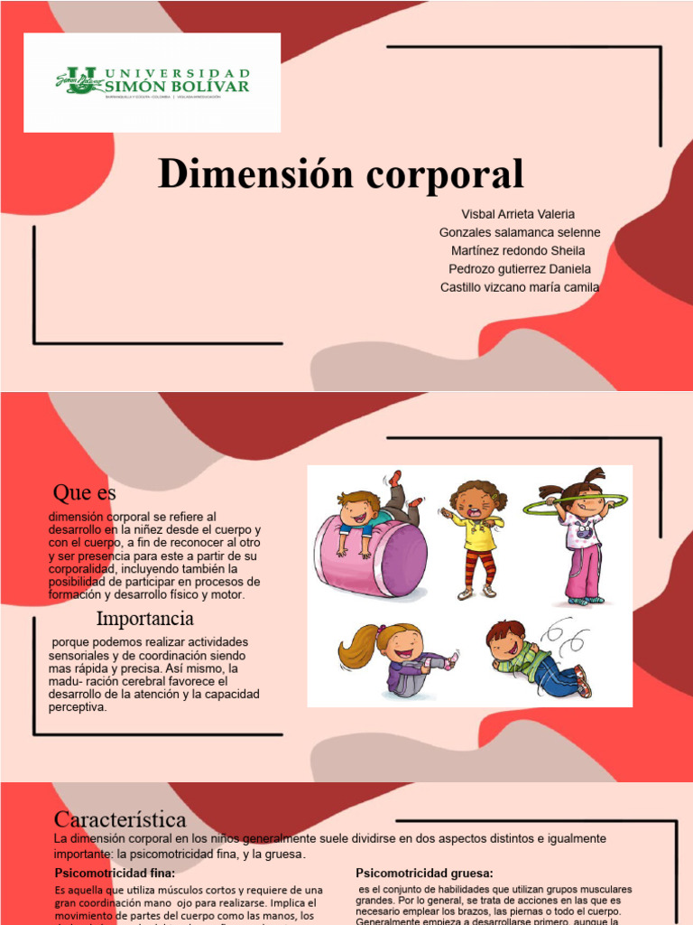 Dimensión Corporal | Descargar gratis PDF | Músculo