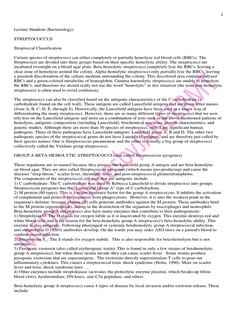 Streptococcus Pdf Streptococcus Immunology