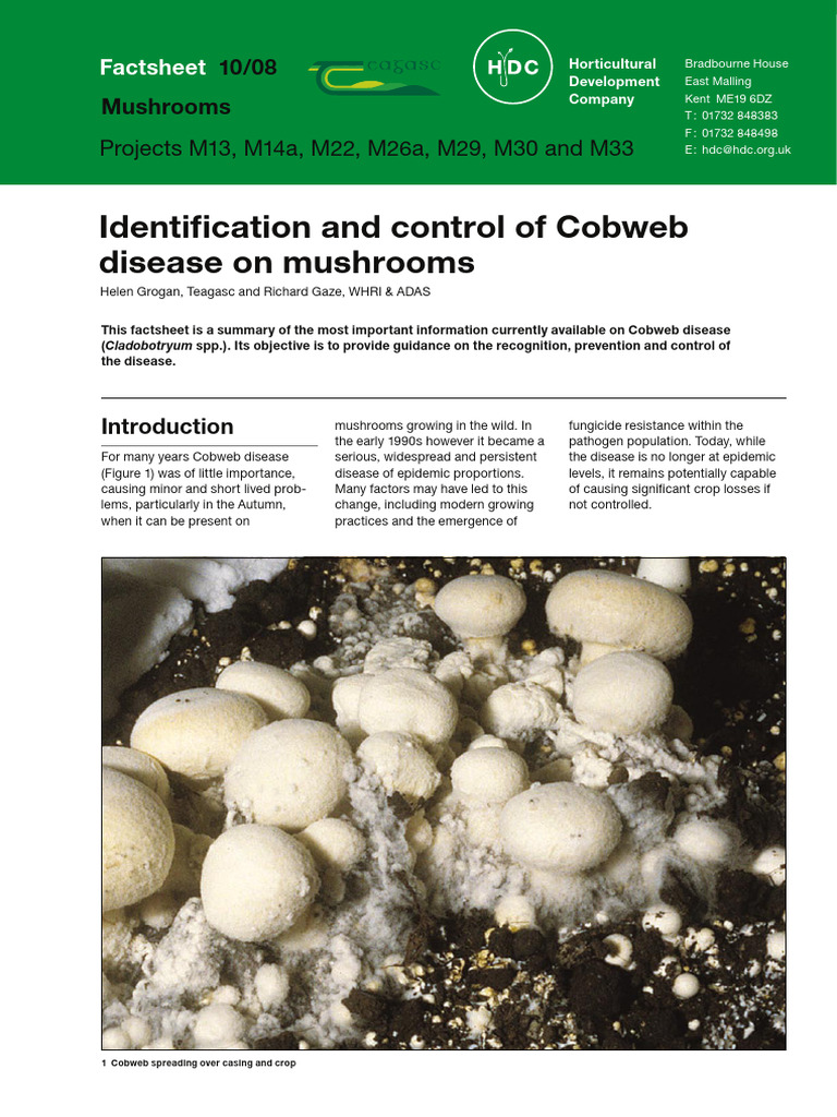Identi Cation and Control of Cobweb Disease On Mushrooms | Download ...