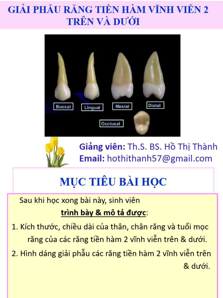GFR bai 7- R tien ham2 tren duoi [Autosaved] | PDF