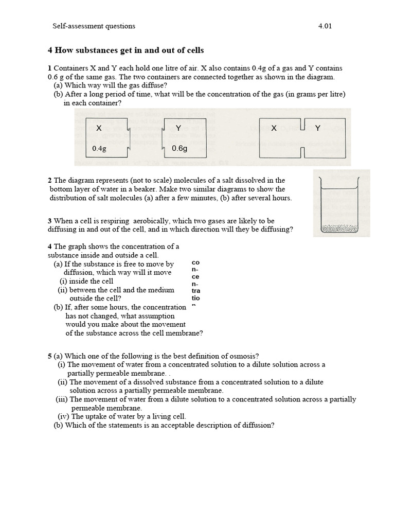 FORM 1 Diffusion Osmosis Questions | PDF | Osmosis | Cell Membrane