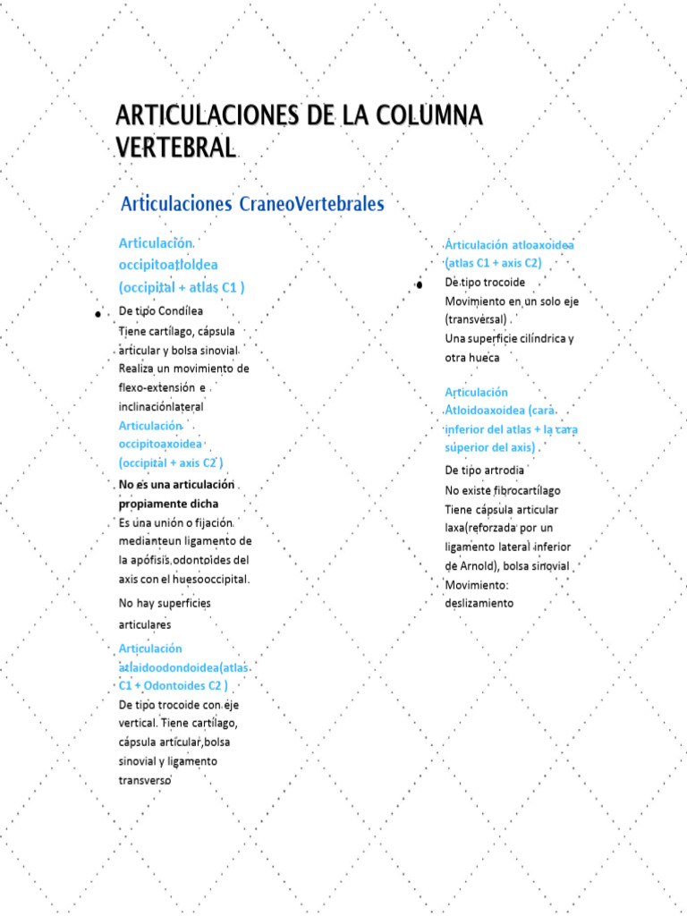 Articulaciones de La Columna Vertebral | Descargar gratis PDF | Articulación | La columna vertebral