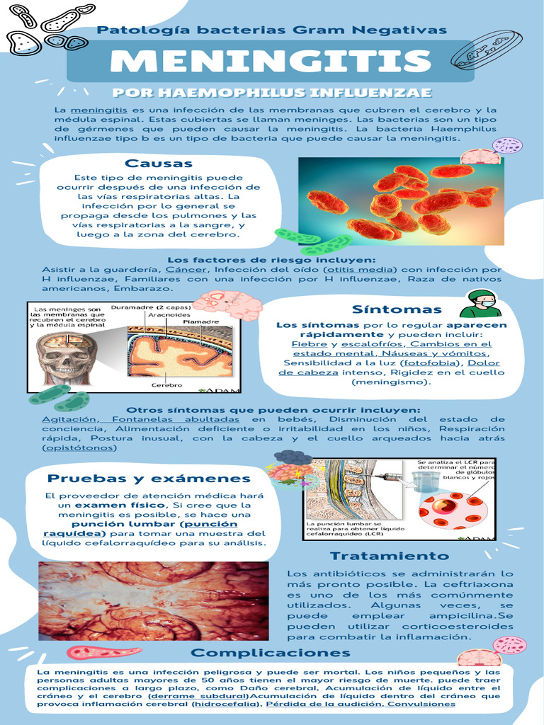 Meningitis por Haemophilus influenzae | PDF | Meningitis | Medicina CLINICA