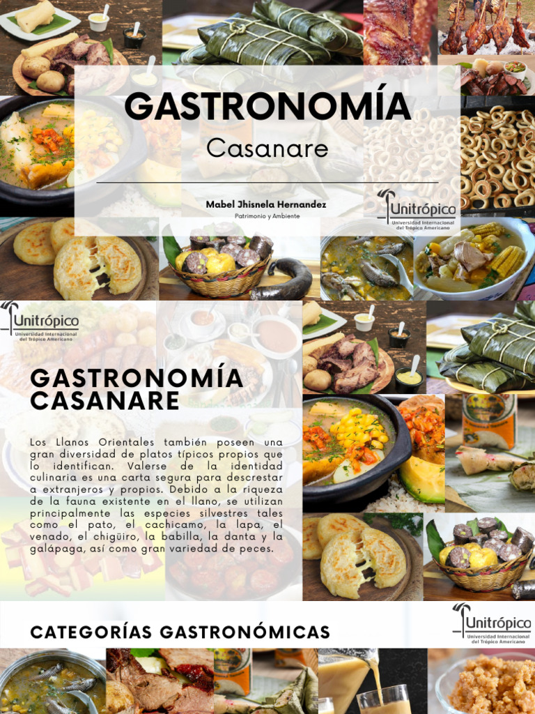 Gastronomia Casanare | PDF | Alimentos | Cocina