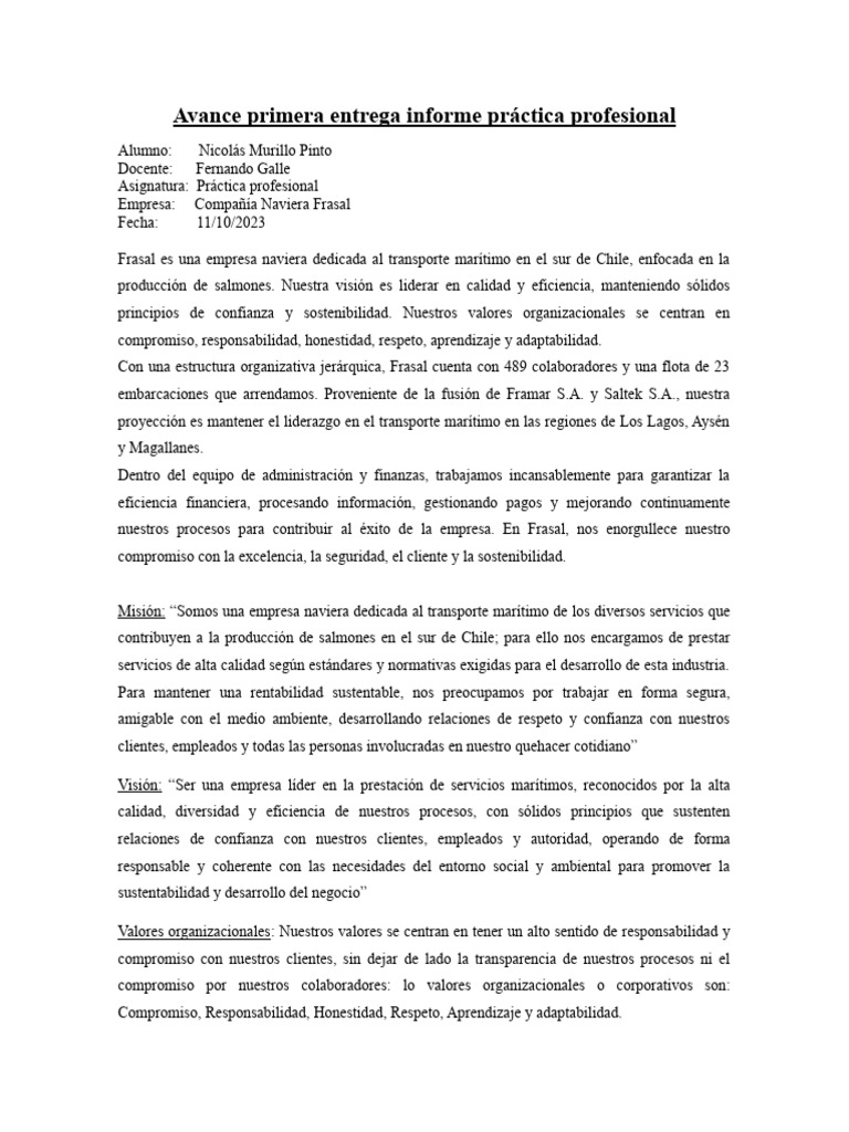 Avance Primera Entrega Informe Prã¡ctica Profesional | PDF | Business | Gestión de recursos humanos