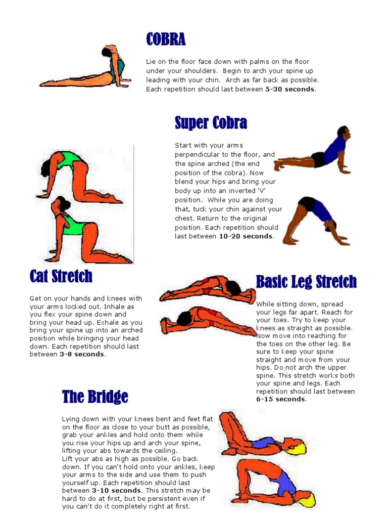 Exercise Plan | PDF | Anatomical Terms Of Motion | Human Anatomy
