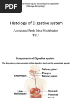 Histology of Git | PDF | Epithelium | Human Digestive System