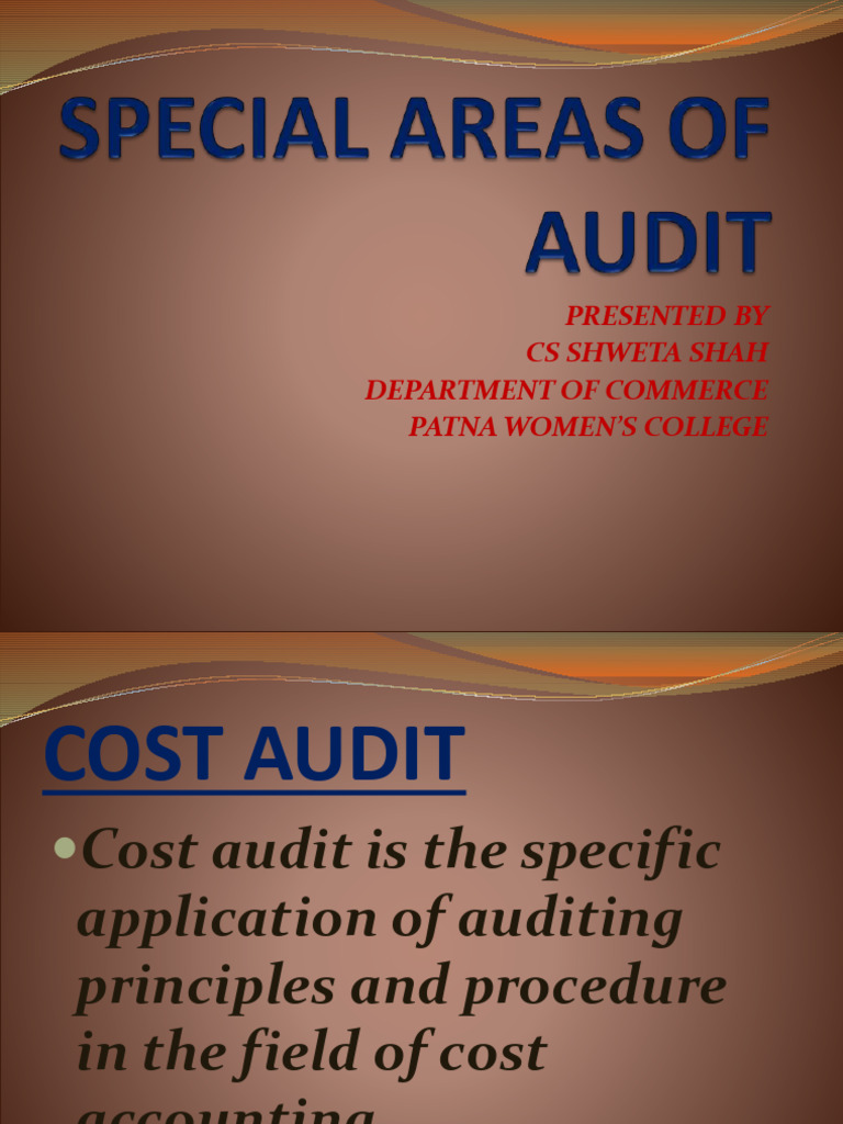 Special Areas of Audit | PDF | Audit | Financial Audit
